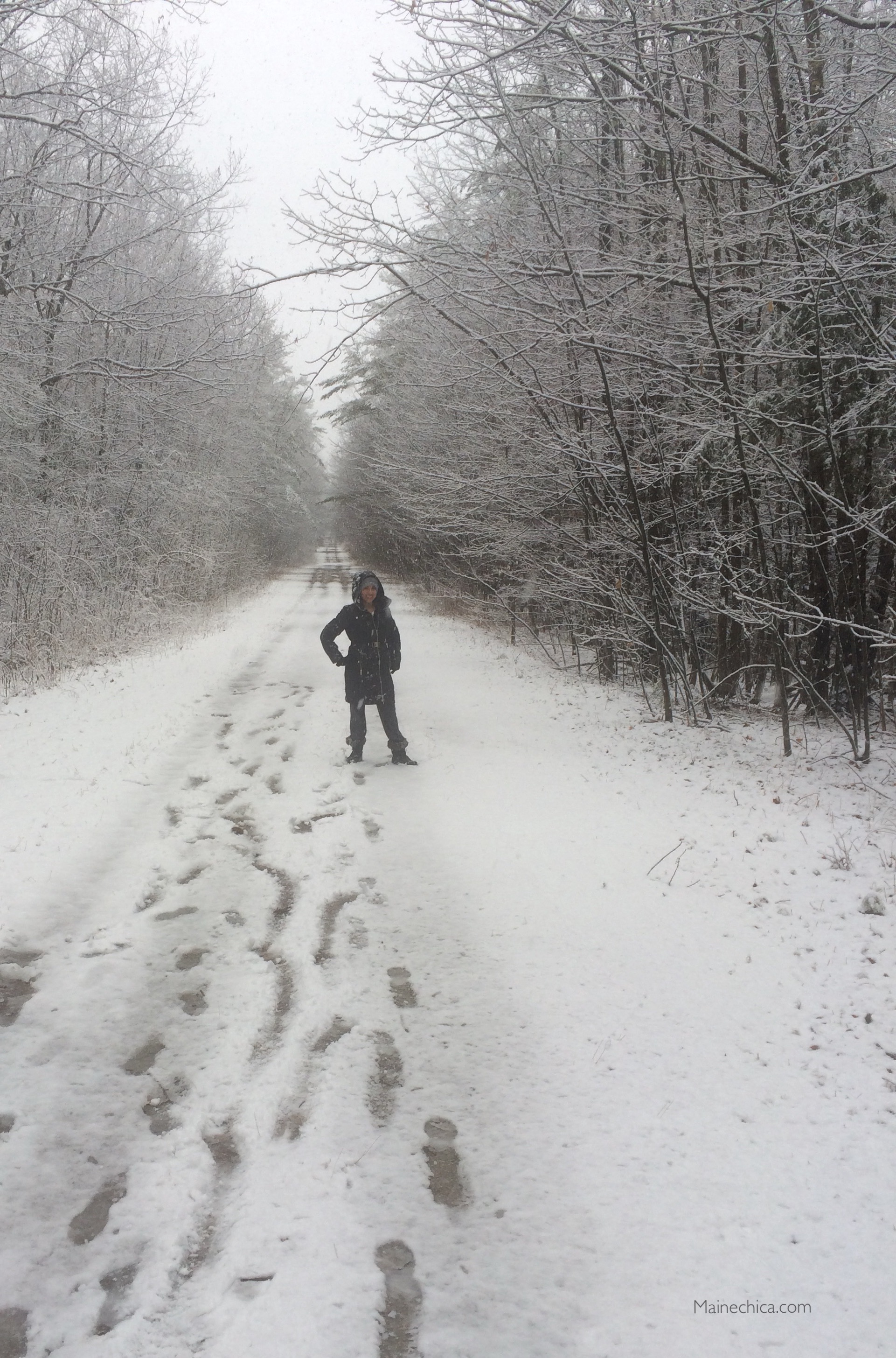 Wickedly Delightful Snowy Spring Walk, beautiful scenes along the lake ...
