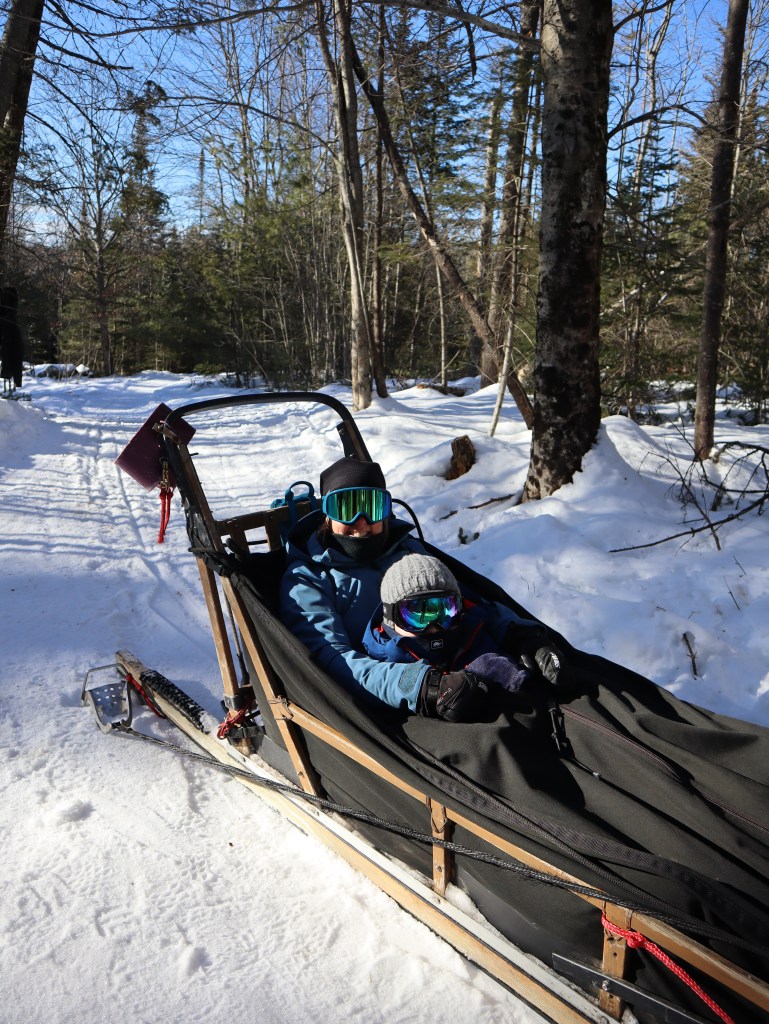 Ride with the pack: Reasons to explore dog sledding @Ultimate Dog ...